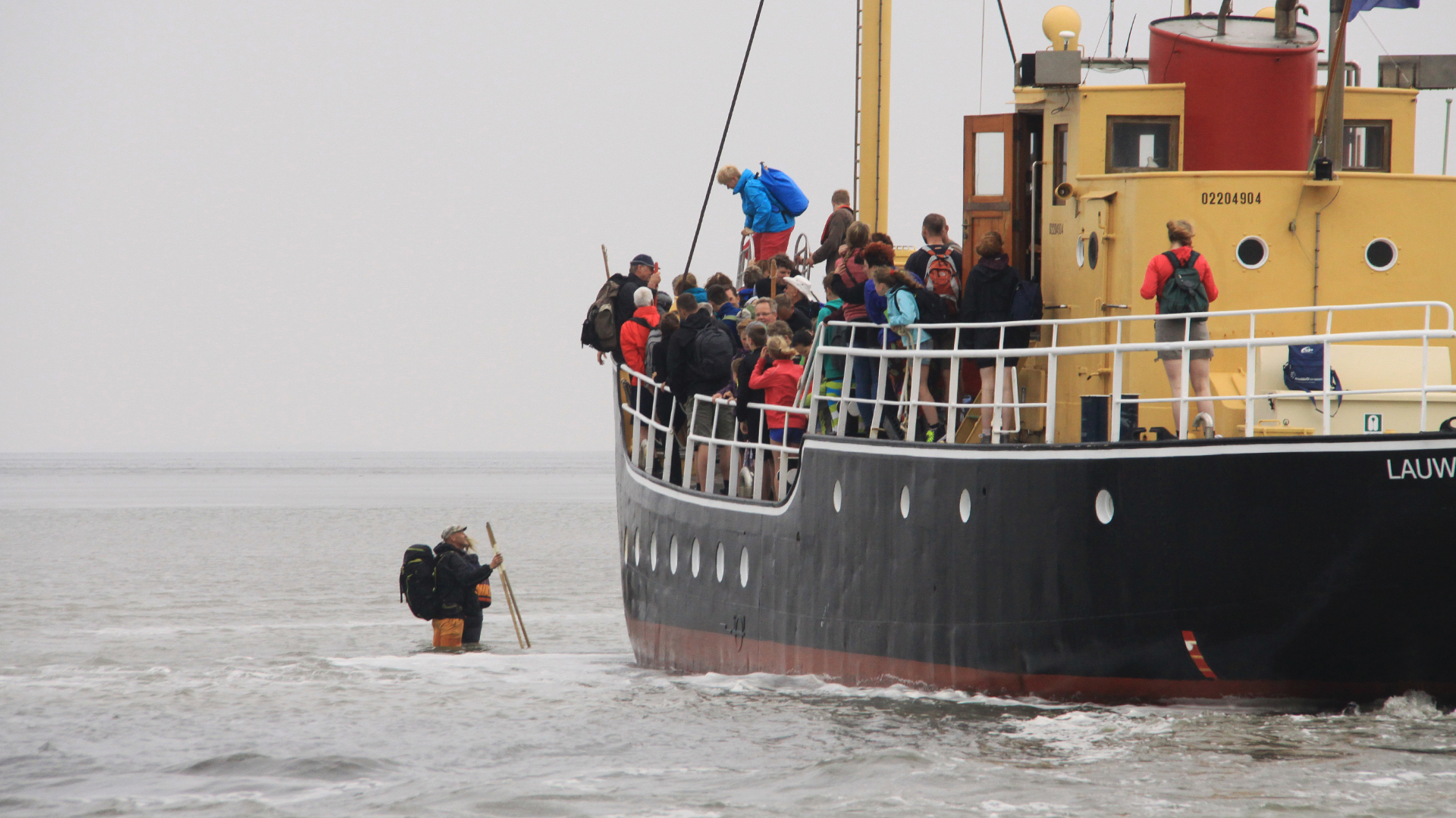 Wadlopen - Waddengenot Pieterburen