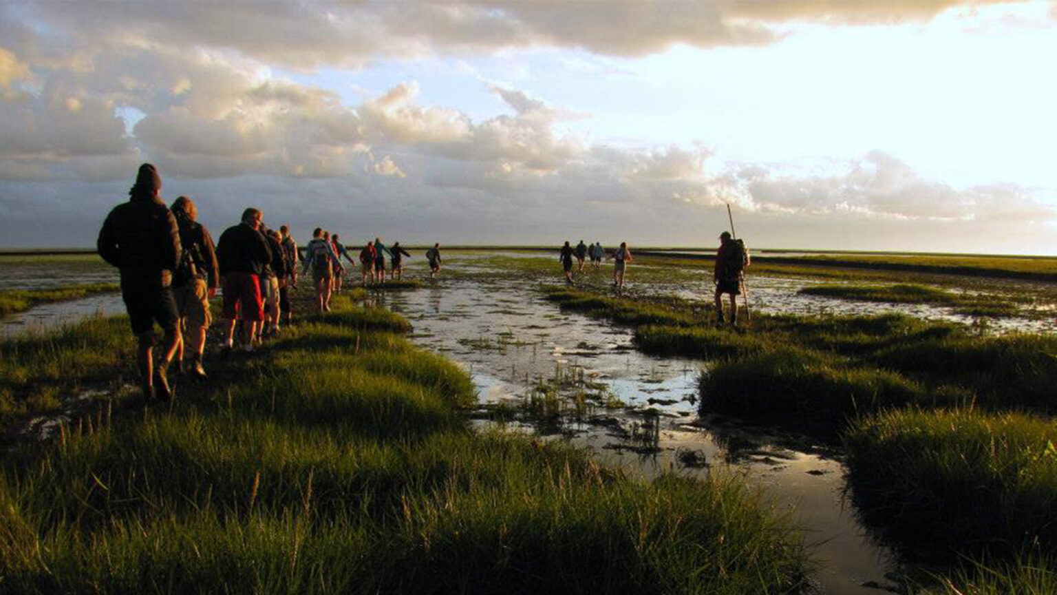 Wadlopen - Waddengenot Pieterburen